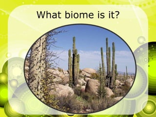 Climate zones and biomes | PPTX