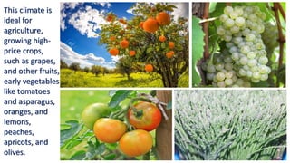 Climatic regiions | PPTX | Geography | Science