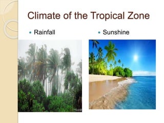 Climatic zones | PPTX