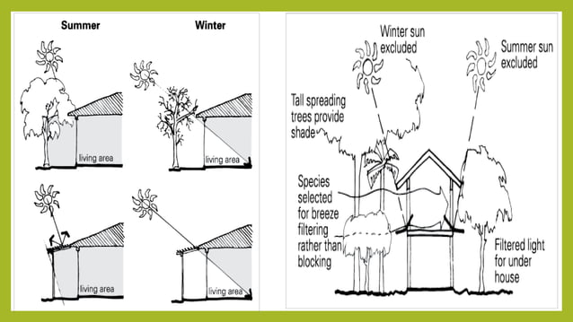 Climatic zones. warm and humid