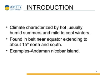 Hot and Humid island climate | PPT