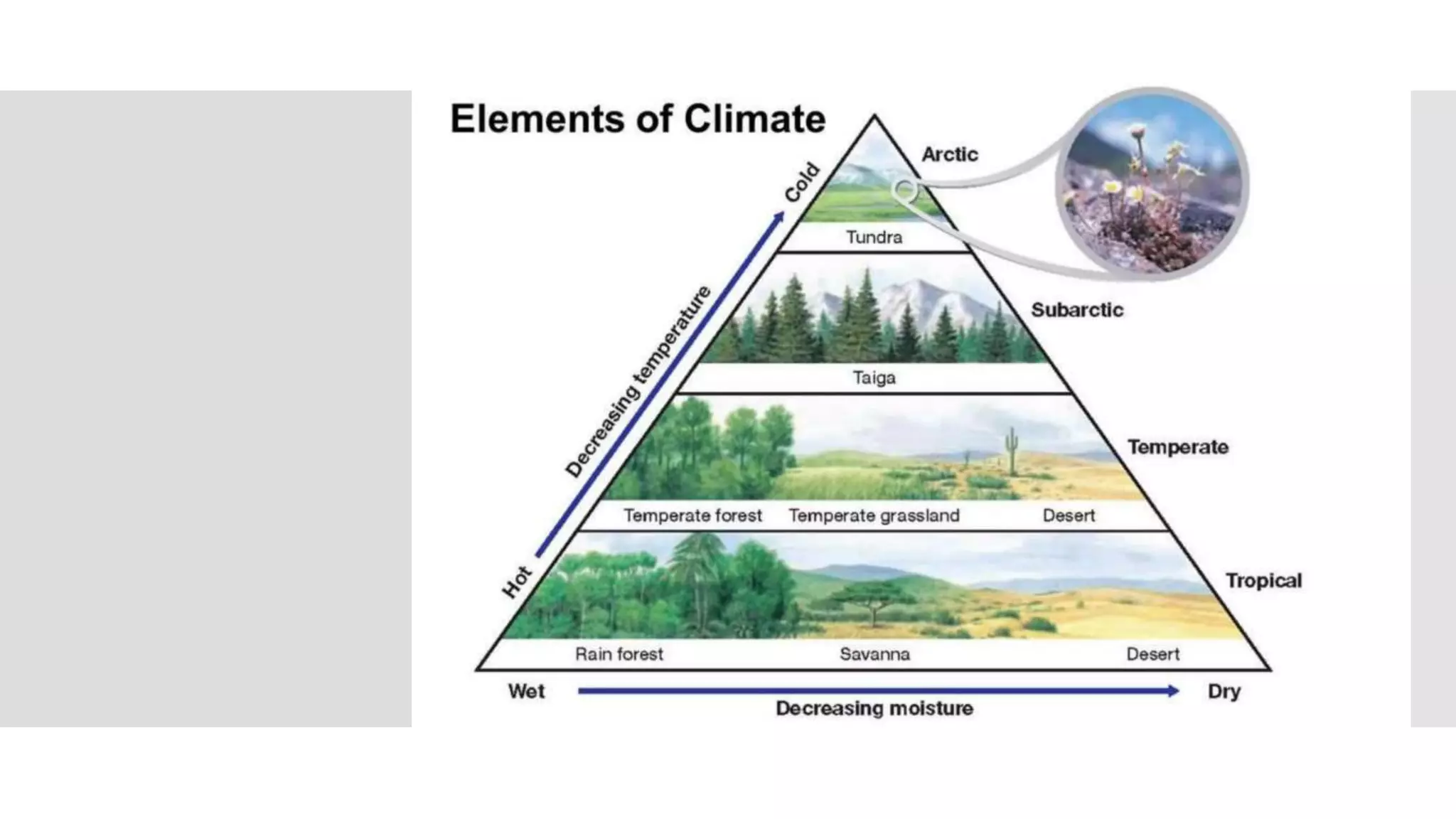 Climatology - Introduction.pptx