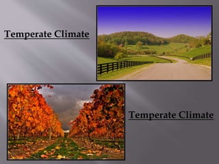 CLIMATIC ZONES | PPTX