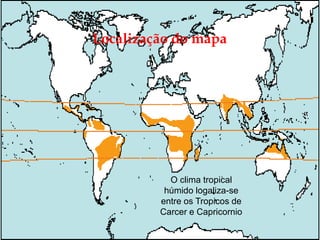 Clima tropical húmido | PPTX