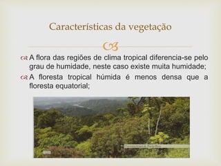 Clima tropical húmido | PPTX