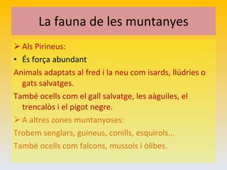 Clima, Vegetació I Fauna De Catalunya | PPT