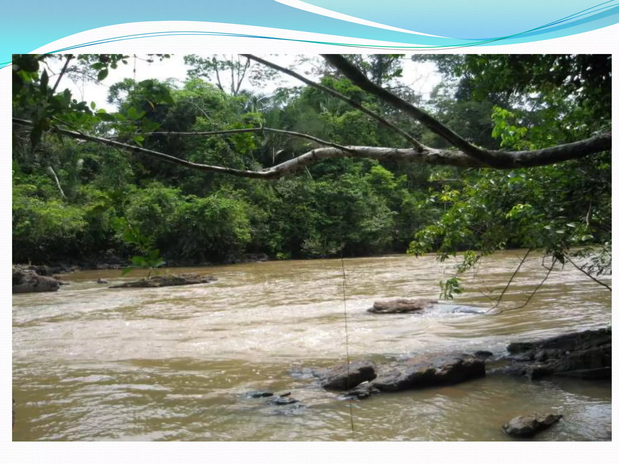 Clima, vegetação e hidrografia do Amazonas | PPT