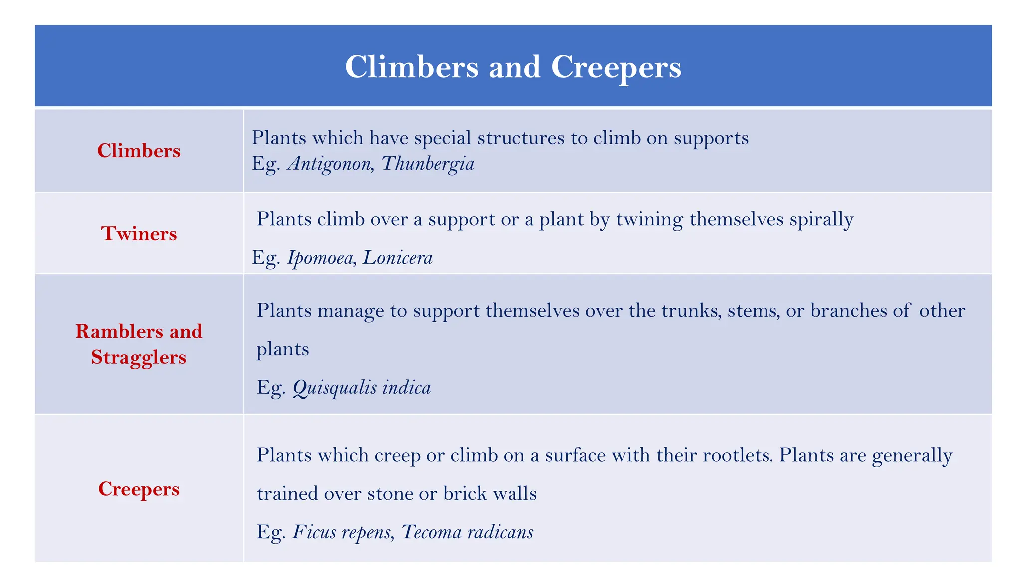 Climbers and Creepers used in landscaping | PDF