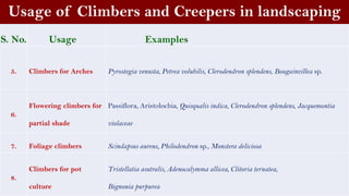Climbers and Creepers used in landscaping | PDF