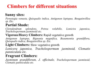 Ornamental climbers which used in landscaping | PDF