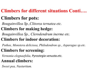 Ornamental climbers which used in landscaping | PDF