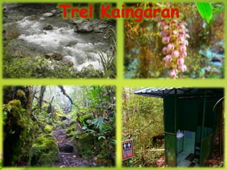 Summit Trails to Mt. Trus Madi | PDF