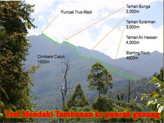 Summit Trails to Mt. Trus Madi | PDF