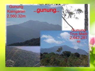 Summit Trails to Mt. Trus Madi | PDF