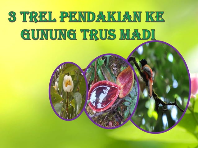 Summit Trails to Mt. Trus Madi | PPT