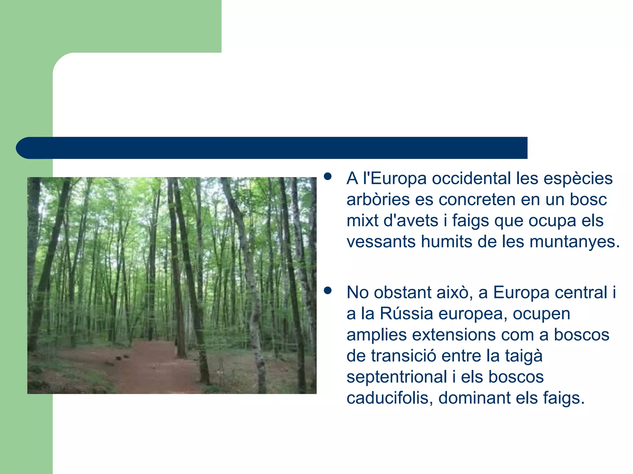 PRIMER ESO: Climes i paisatges d'europa | PPT