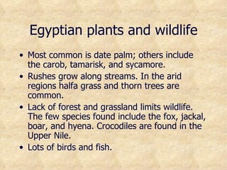 Clim Hist Egypt | PPT