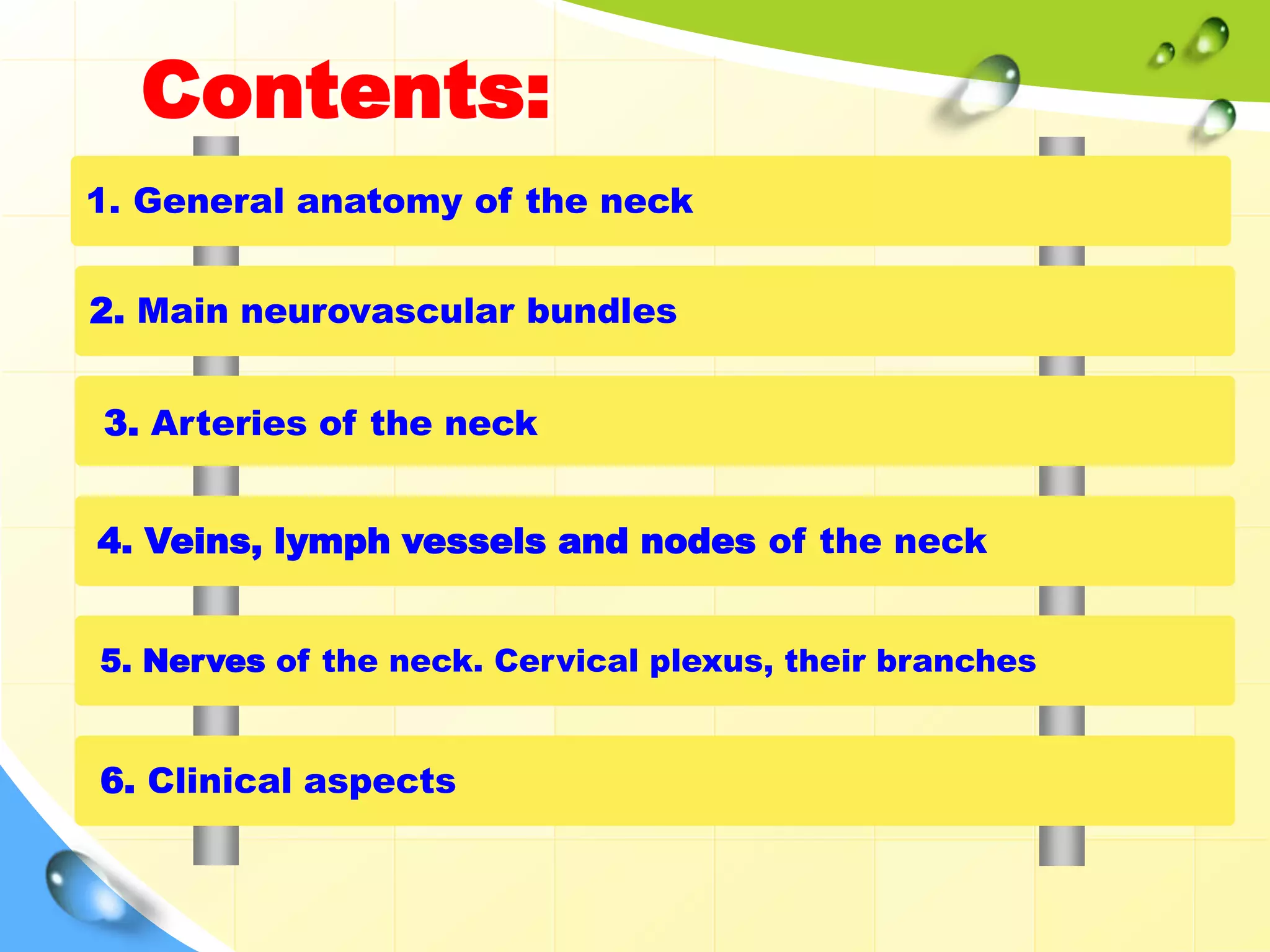 Clinanatomy 3 neck .ppt
