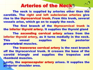 Clinanatomy 3 neck .ppt