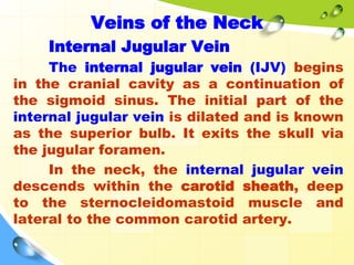 Clinanatomy 3 neck .ppt