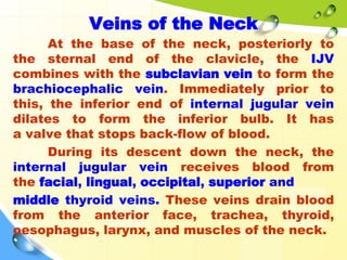 Clinanatomy 3 neck .ppt