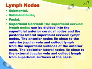 Clinanatomy 3 neck .ppt