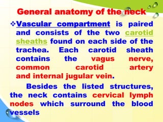 Clinanatomy 3 neck .ppt