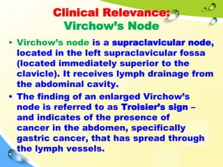 Clinanatomy 3 neck .ppt