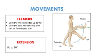 Clinical examination of hip | PPTX