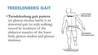Clinical examination of hip | PPTX