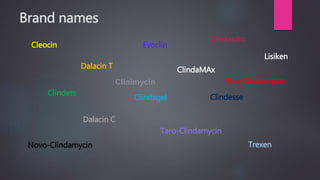 Clindamycin | PPTX