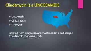 Clindamycin | PPTX
