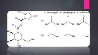 Clindamycin | PPTX