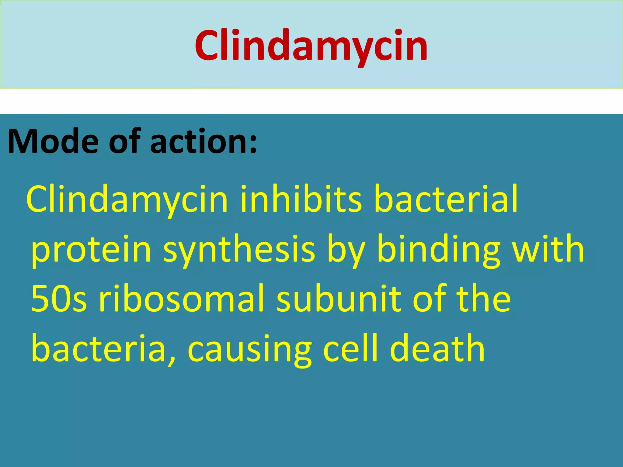 Clindamycin | PPTX