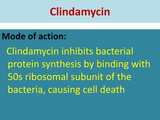 Clindamycin | PPTX