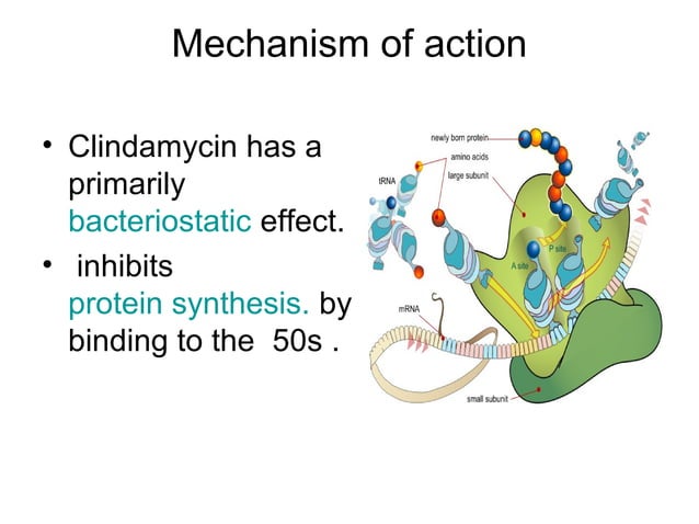 Clindamycine,, | PPT