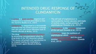Clindamycin Presentation | PPTX