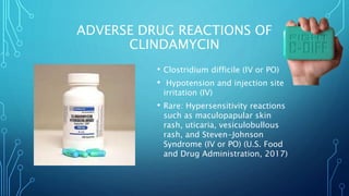 Clindamycin Presentation | PPTX