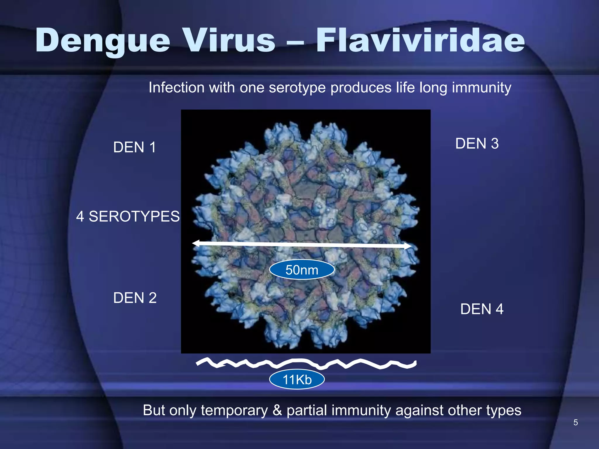 Clinial Manifestations of Dengue Fever | PPTX