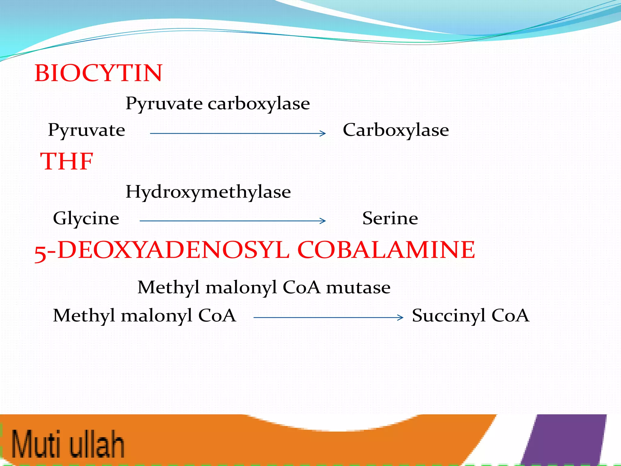 coenzymes , nomenclature of enzymes, classification | PPT