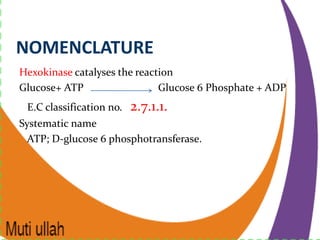 coenzymes , nomenclature of enzymes, classification | PPTX