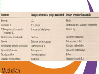 coenzymes , nomenclature of enzymes, classification | PPT