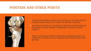 CLINICAL Anatomy of popliteal artery.pptx