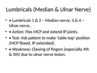 Small muscles of hand anatomy generalmedicine.pptx