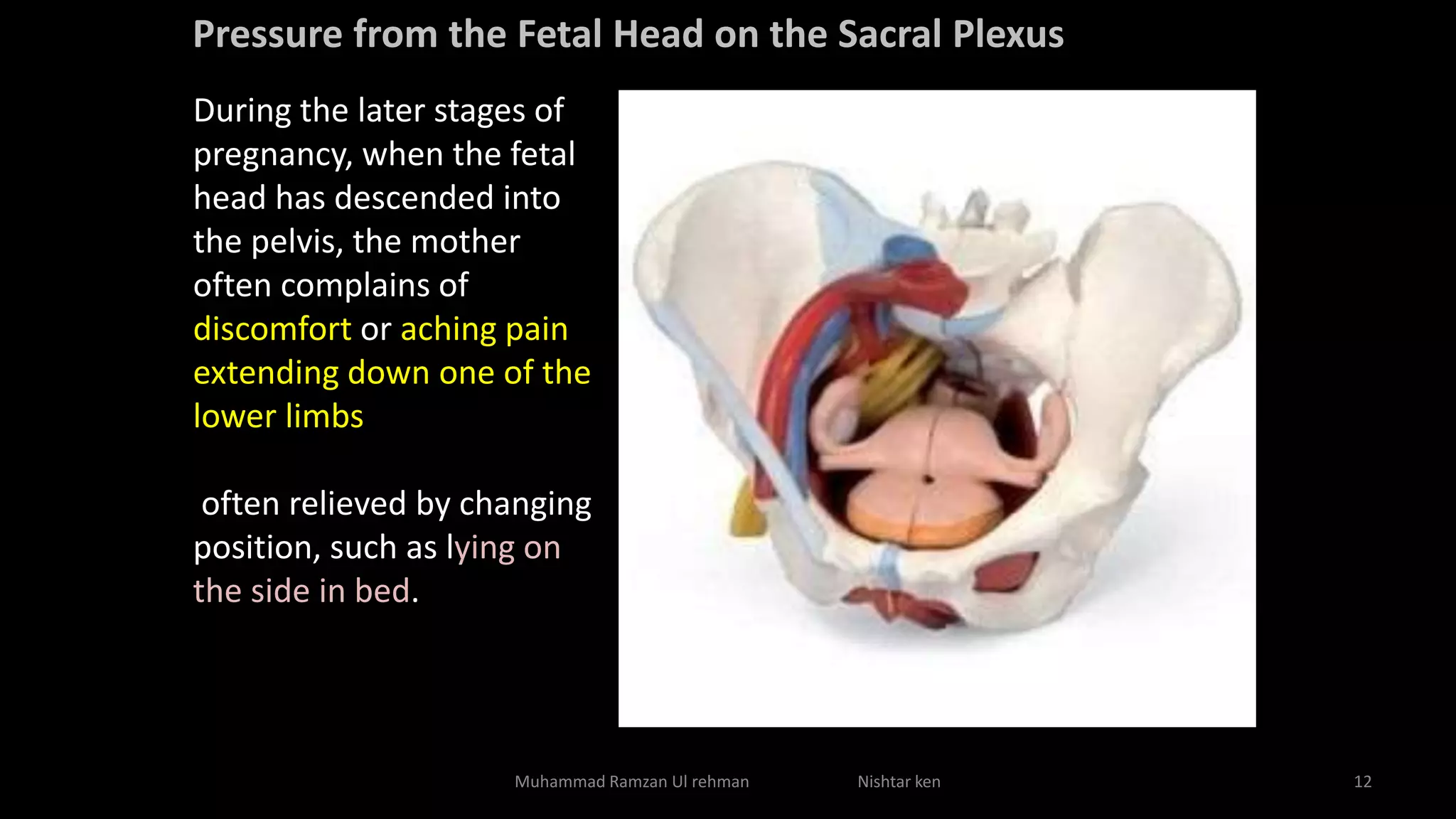 clinical-anatomy-of-the-lower-limb-140902094941-phpapp01.pdf