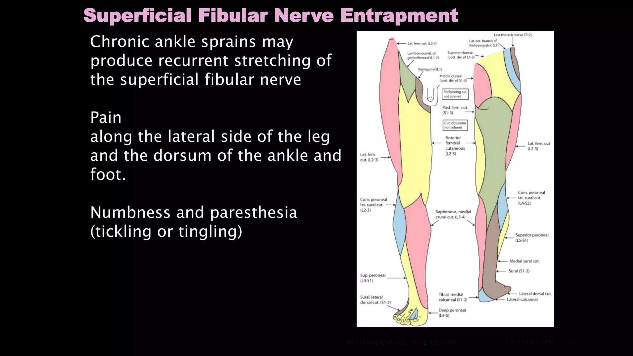 clinical-anatomy-of-the-lower-limb-140902094941-phpapp01.pdf