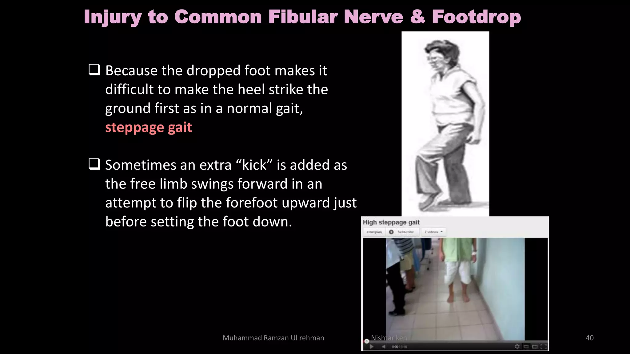 clinical-anatomy-of-the-lower-limb-140902094941-phpapp01.pdf