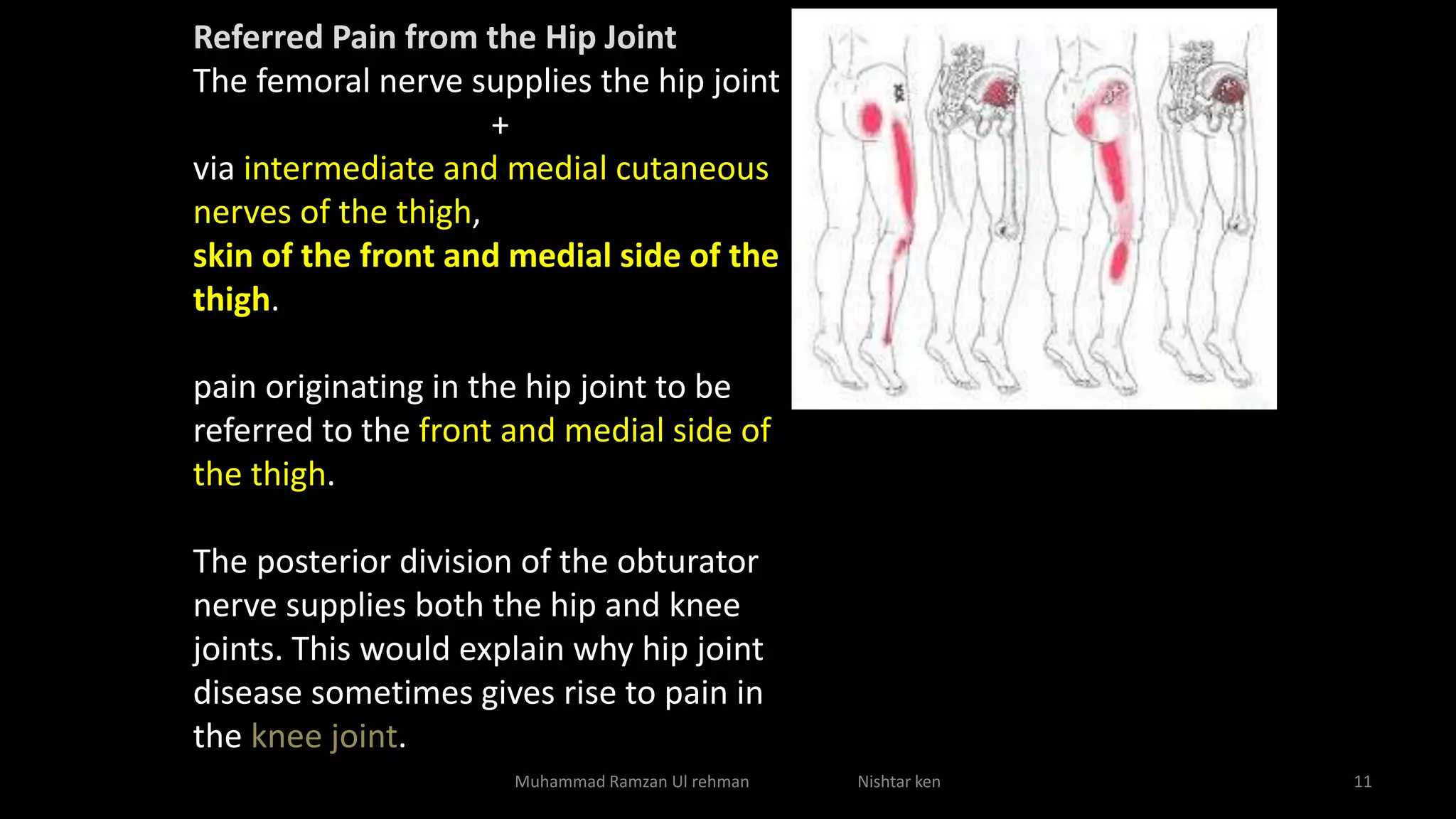 Clinical anatomy of the lower limb | PPTX