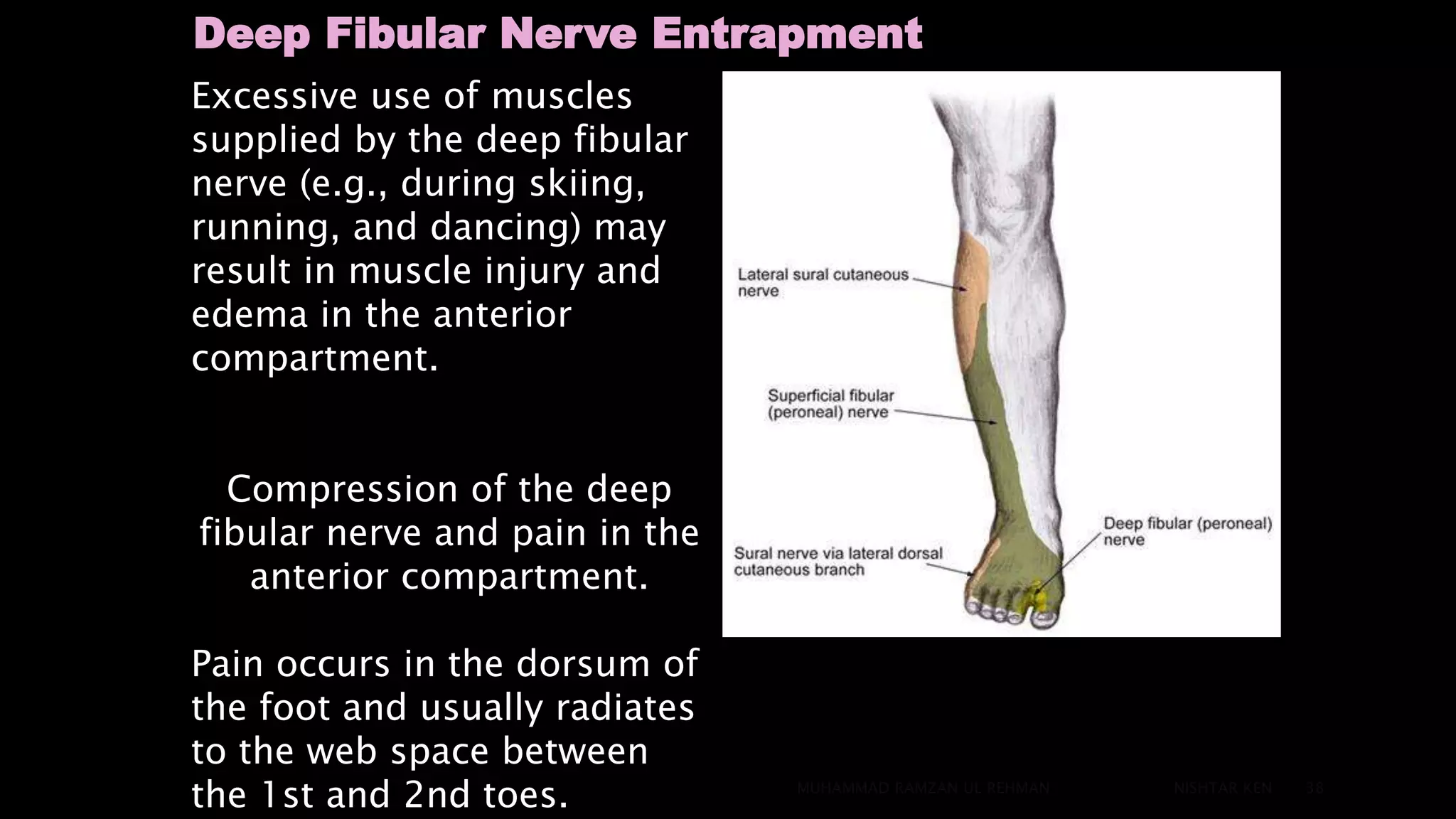 Clinical anatomy of the lower limb | PPTX