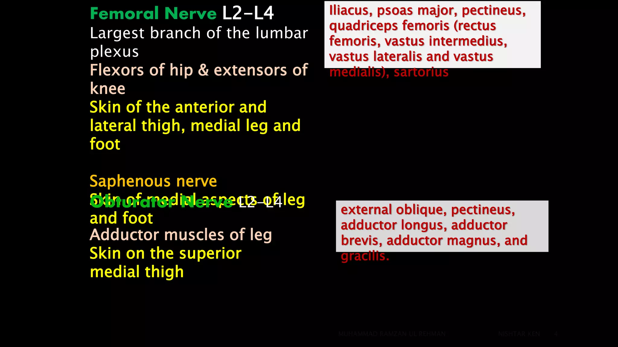 Clinical anatomy of the lower limb | PPTX